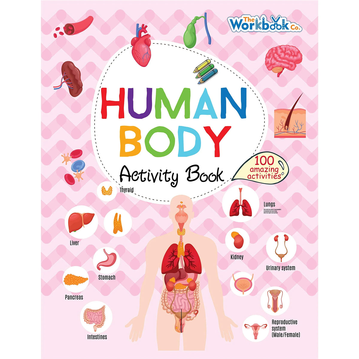 Human Body Activity Book - Peekaboo