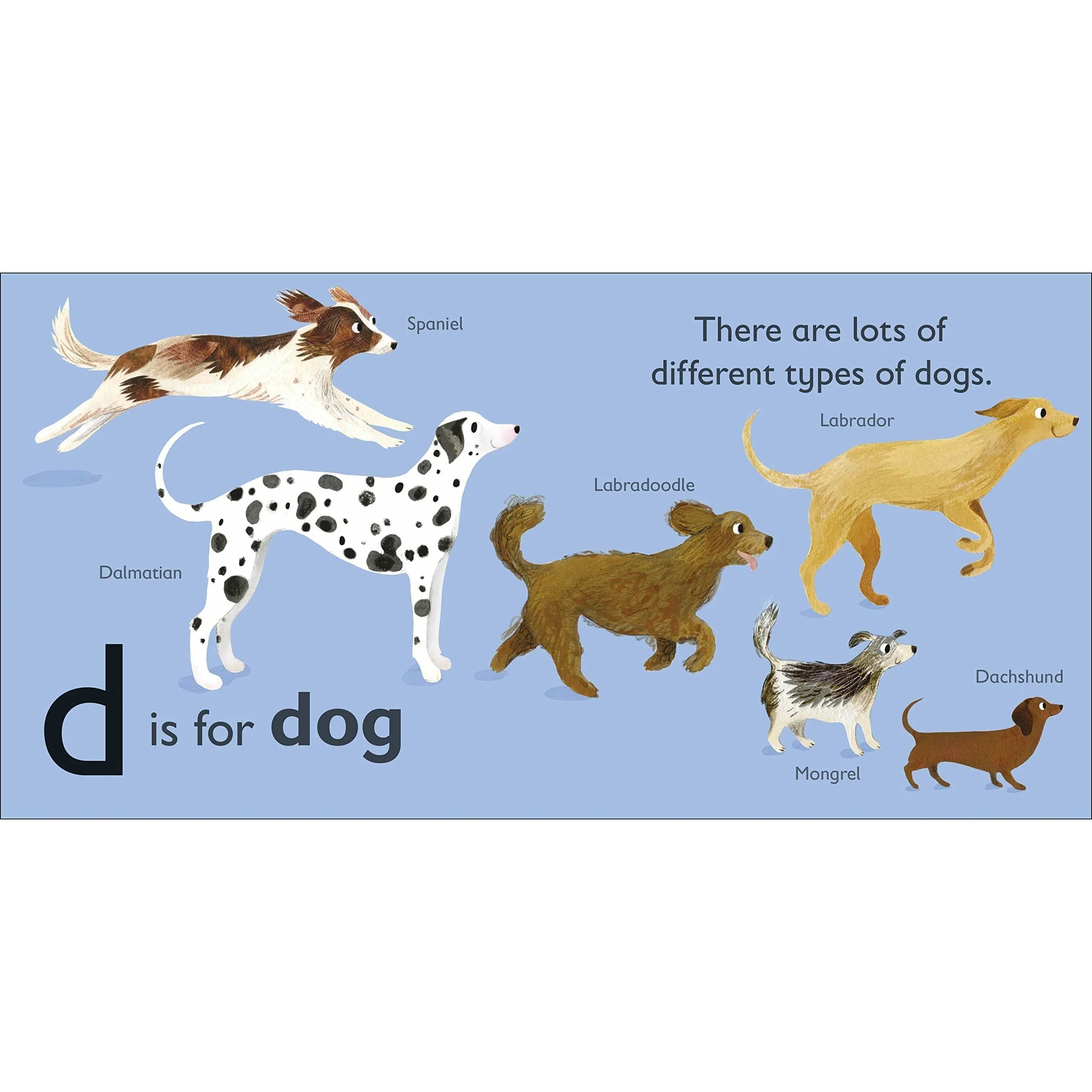 D is for Dog Board book - Peekaboo