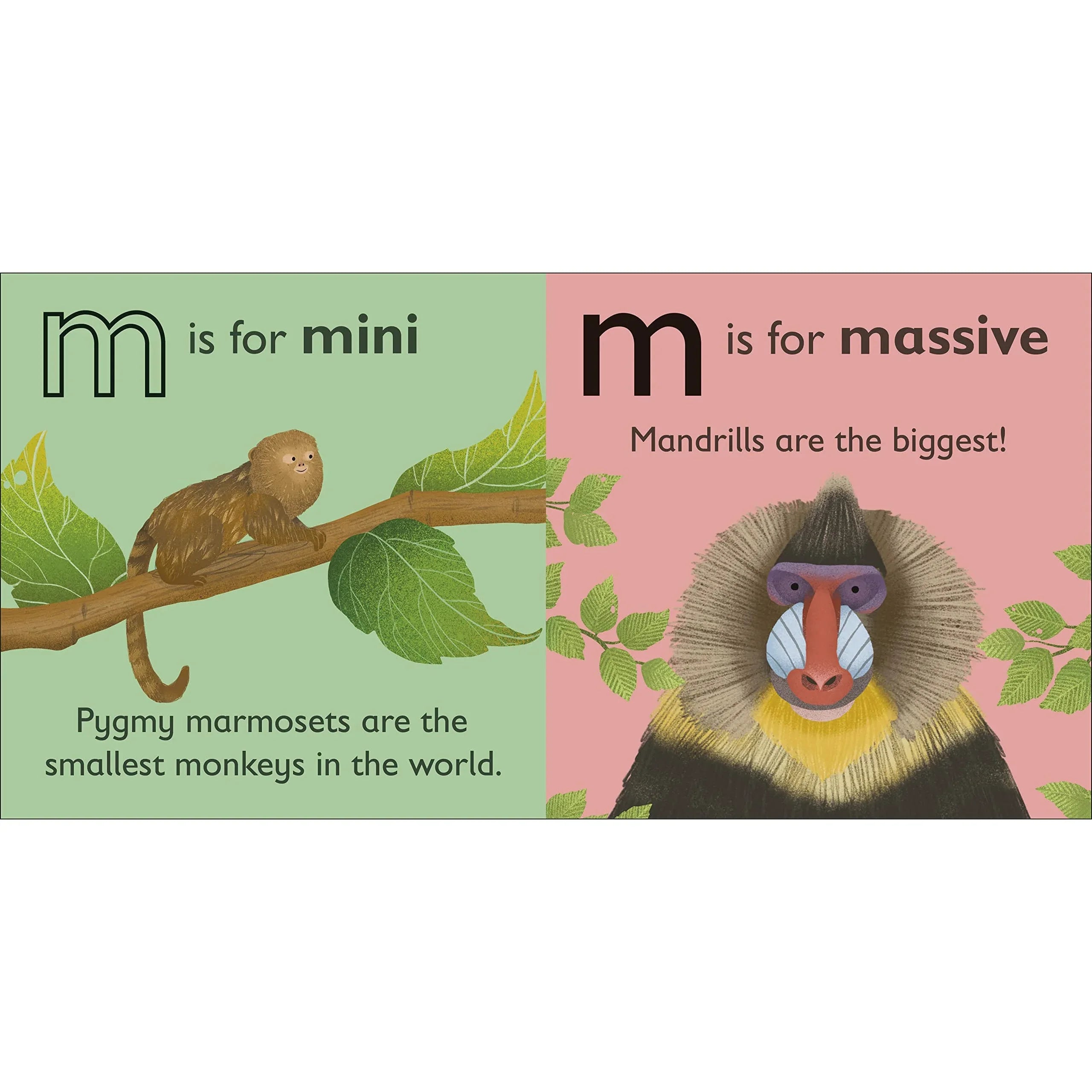 M is for Monkey Board book - Peekaboo