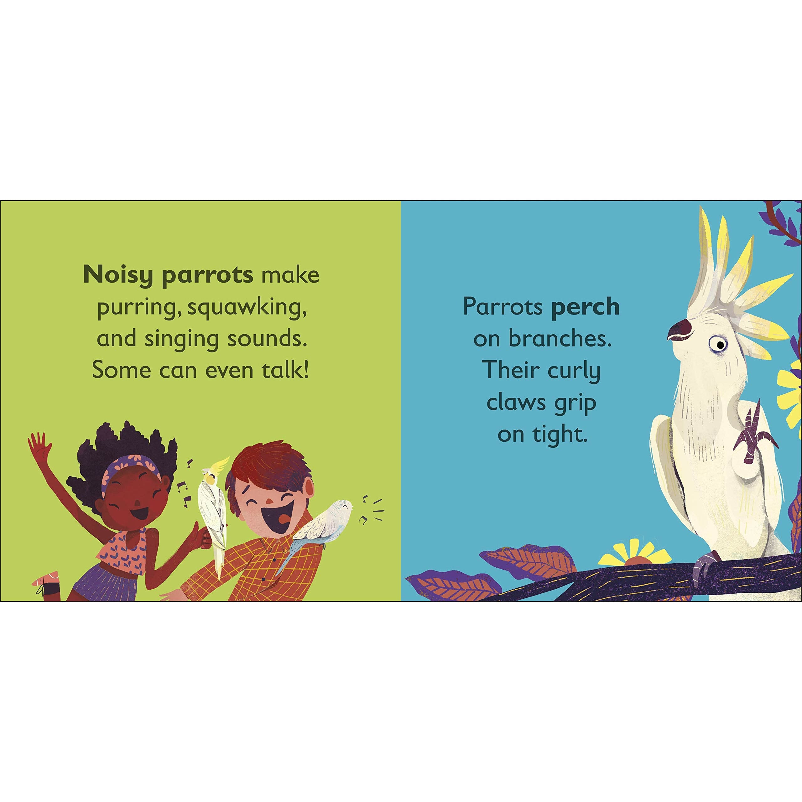 P is for Parrot Board book - Peekaboo